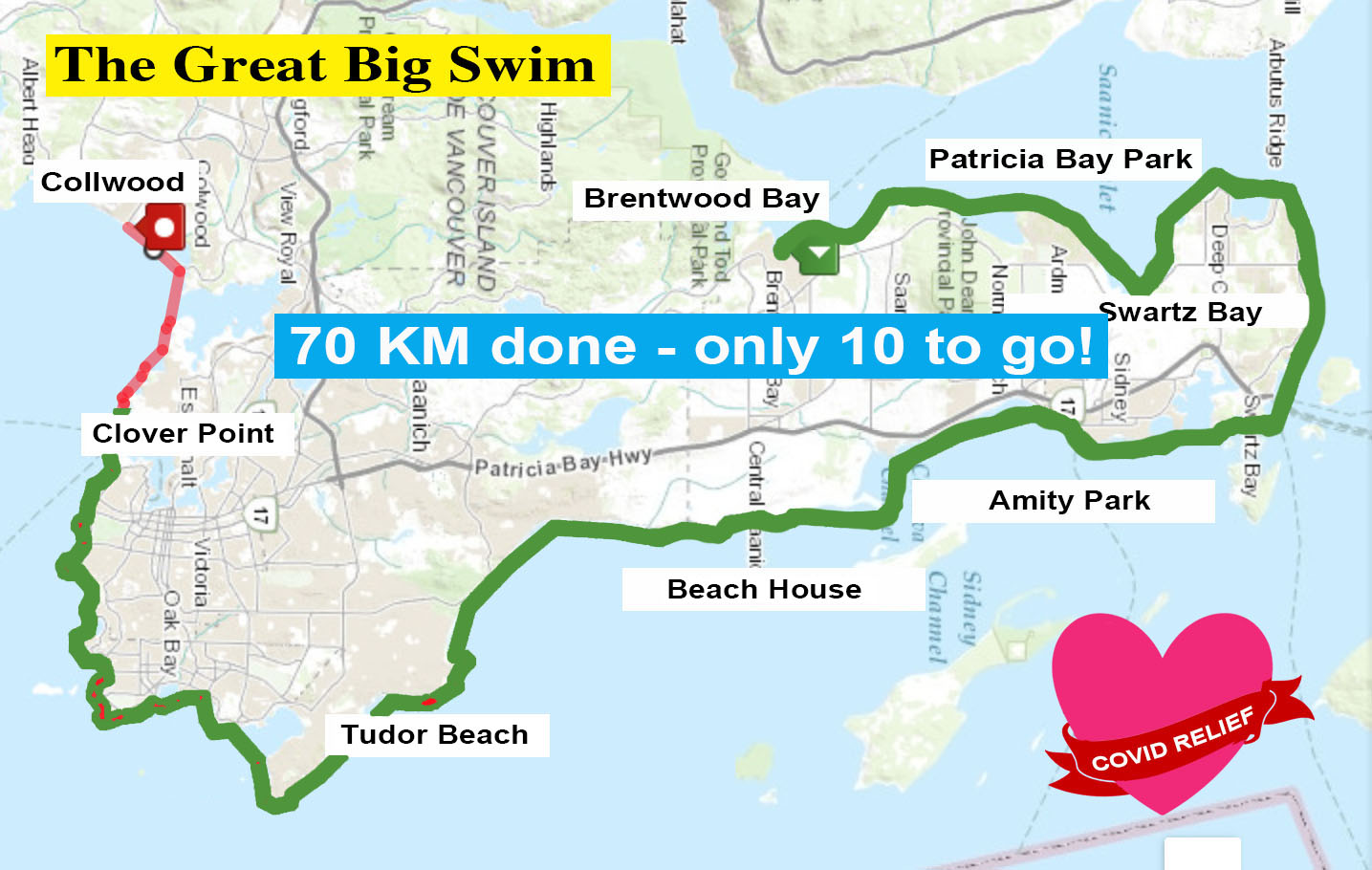 The Great Big Swim – Susan Simmons